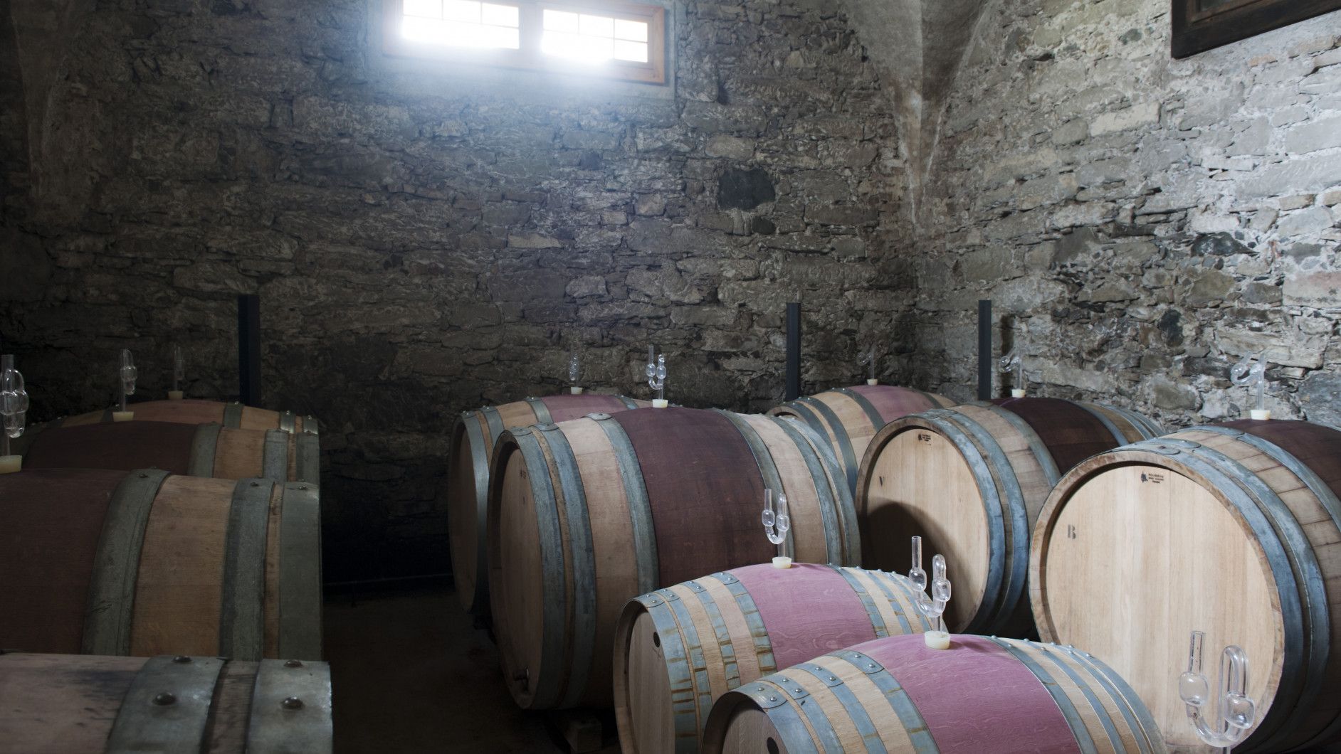 Vignoble et caves – Schlossgut Bachtobel, Weinfelden